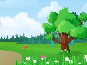 Le studio Explorama - Explorama